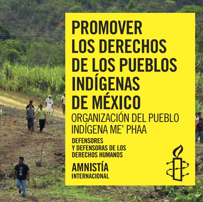Promover los derechos de los pueblos indígenas de México